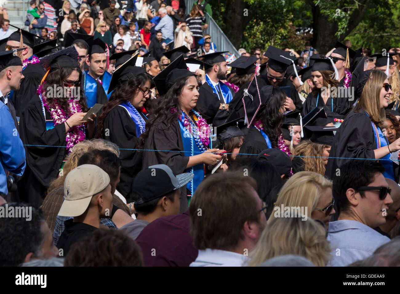 university students attending graduation ceremony at Sonoma State ...
