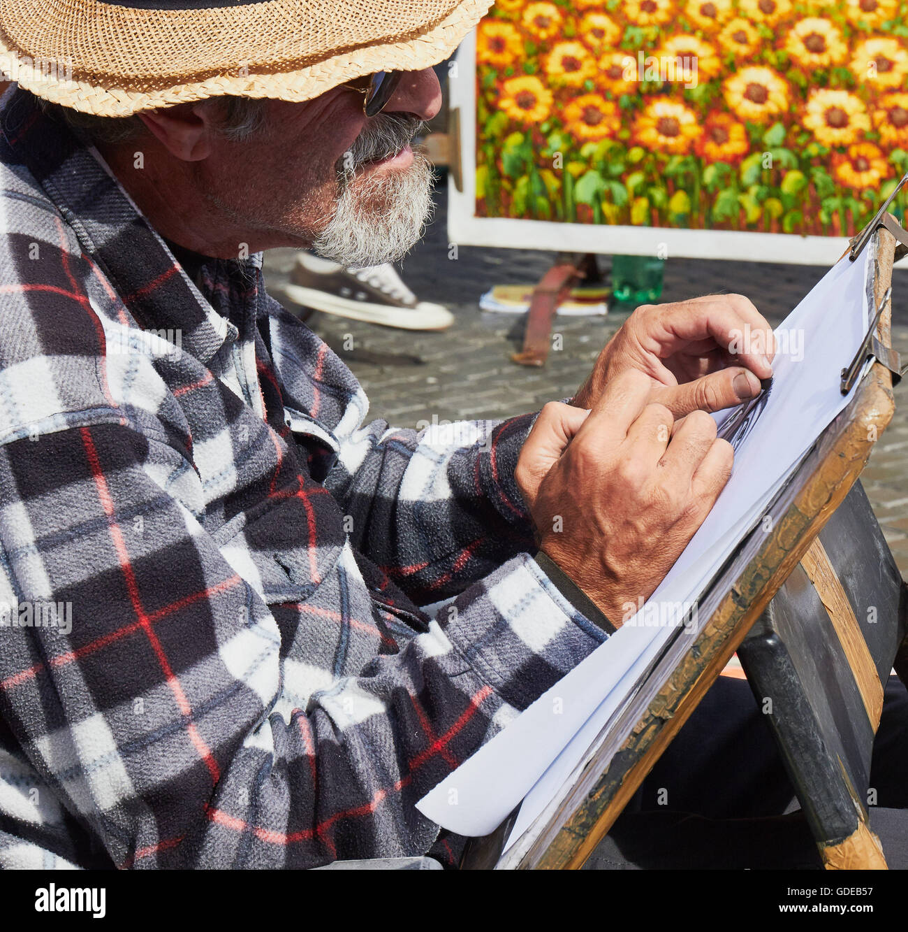 Male street artist concentrating on drawing a portrait, Piazza Navona ...