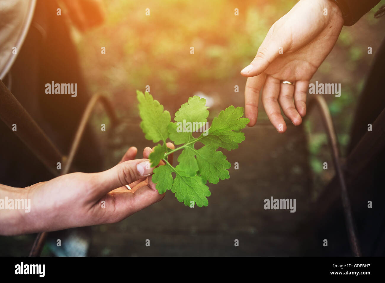 Swing hands hi-res stock photography and images - Alamy