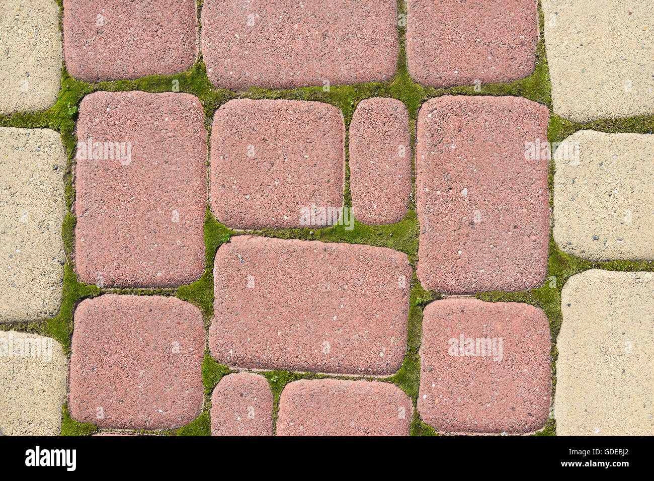 Pavers moss hi-res stock photography and images - Alamy