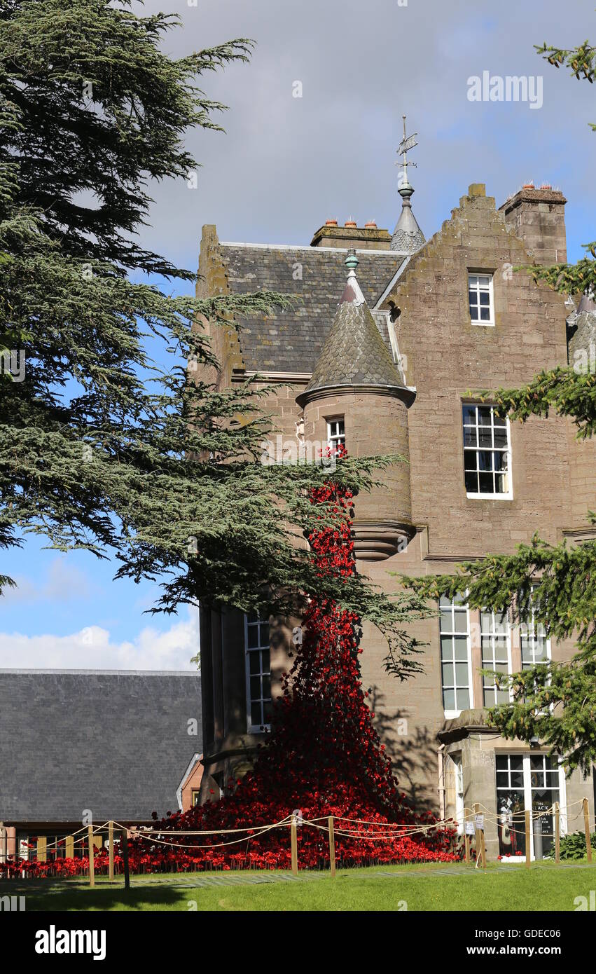 Poppies Weeping Window by Paul Cummins, Artist, and Tom Piper, Designer ...