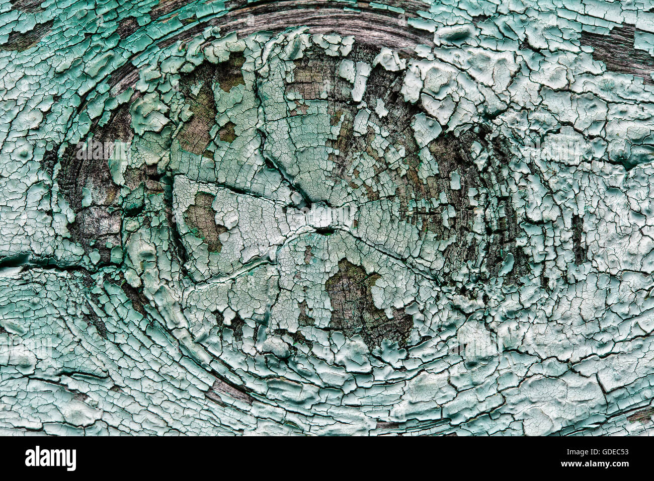 Old shabby wooden texture with cracked color paint, background Stock ...