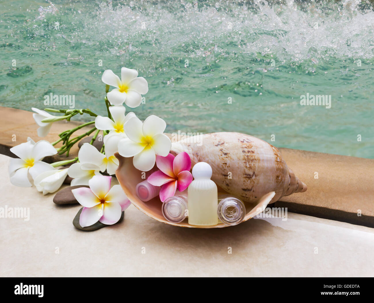 Mini set of bubble bath and shower gel in sea conch shell with ...