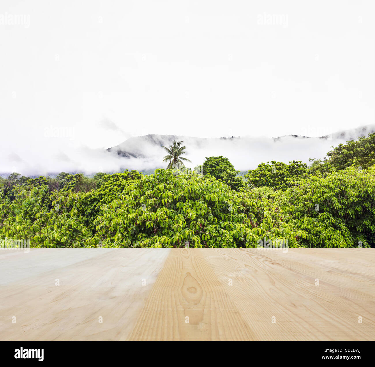 Texture wooden table top with nature view, table top and tree top view ...