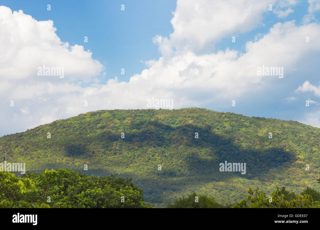 Mountain and big cloudy sky background, green forest on mountain view ...