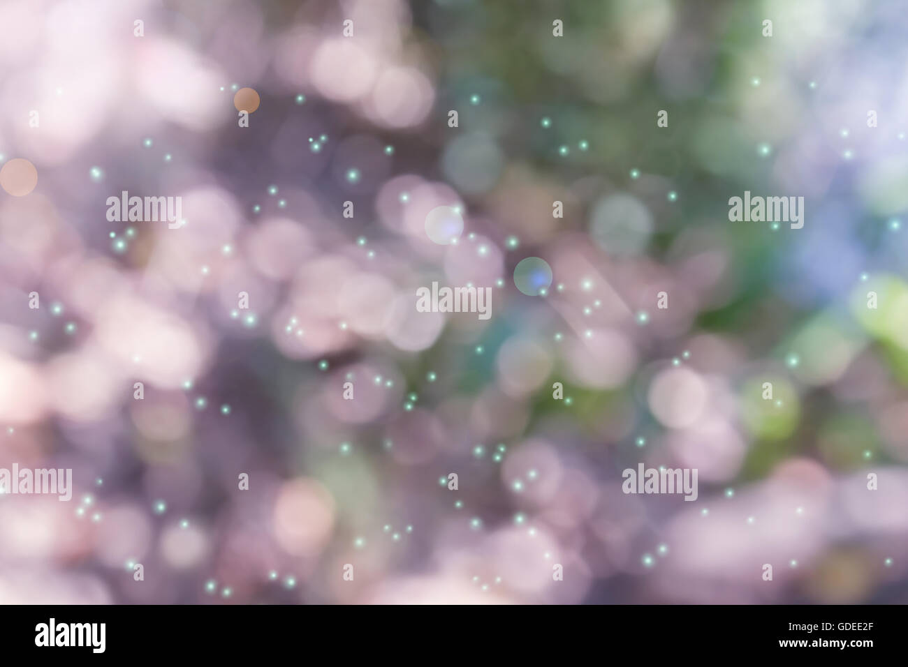 Wonderful sweet lens flare dreamy hi-res stock photography and images - Alamy