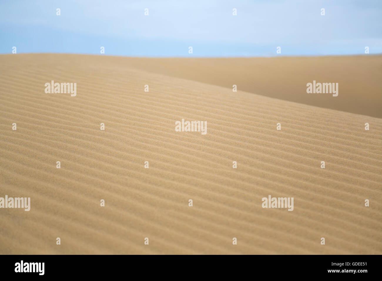 Close up view at sand texture Stock Photo - Alamy