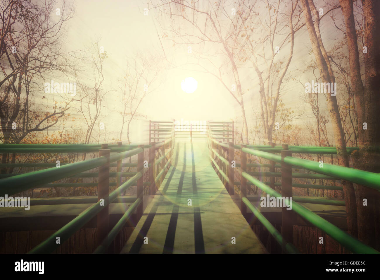 Long footpath or bridge in white fog to light at the end, concept way ...