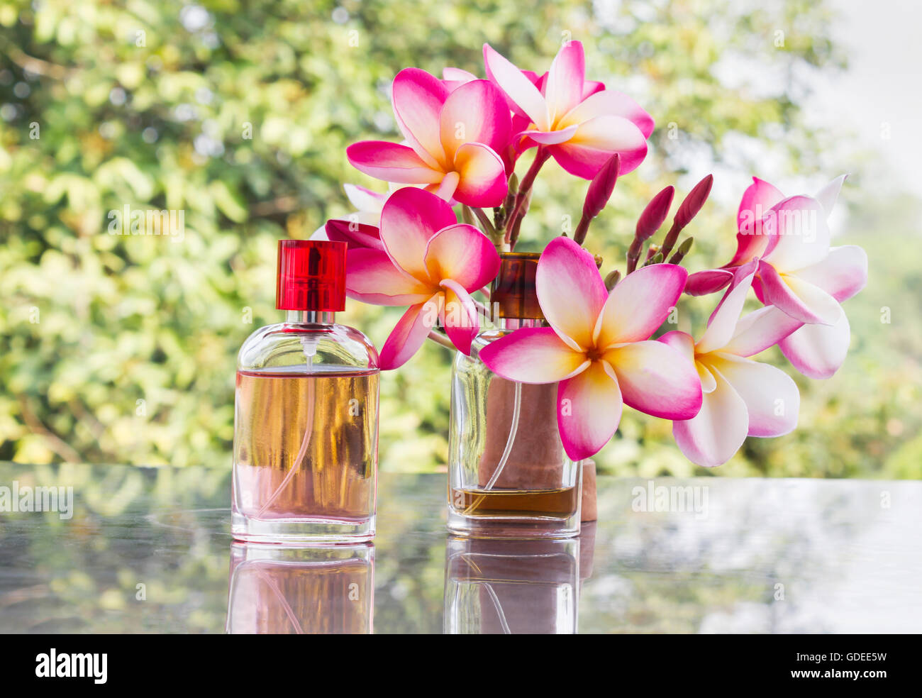 Bottle of sweet pink fragrant perfume with pink flower plumeria and ...
