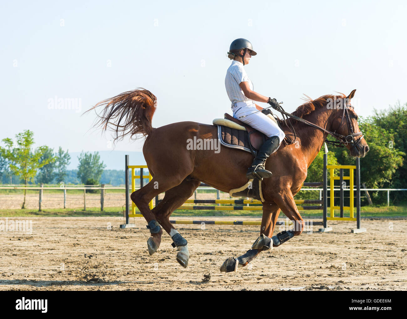 Girl riding horse hi-res stock photography and images - Alamy