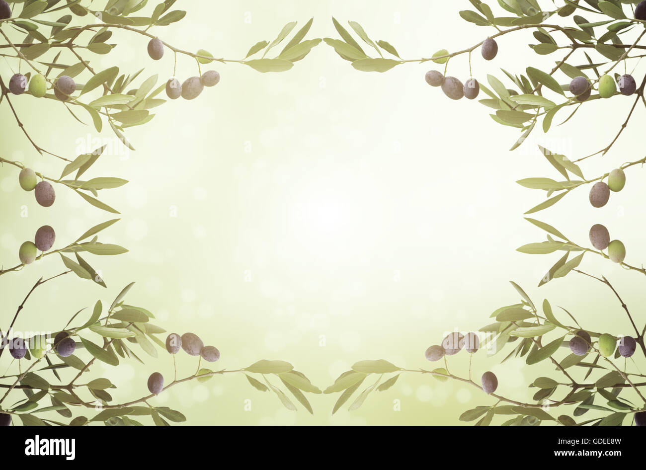 Olive branch card Stock Photo - Alamy