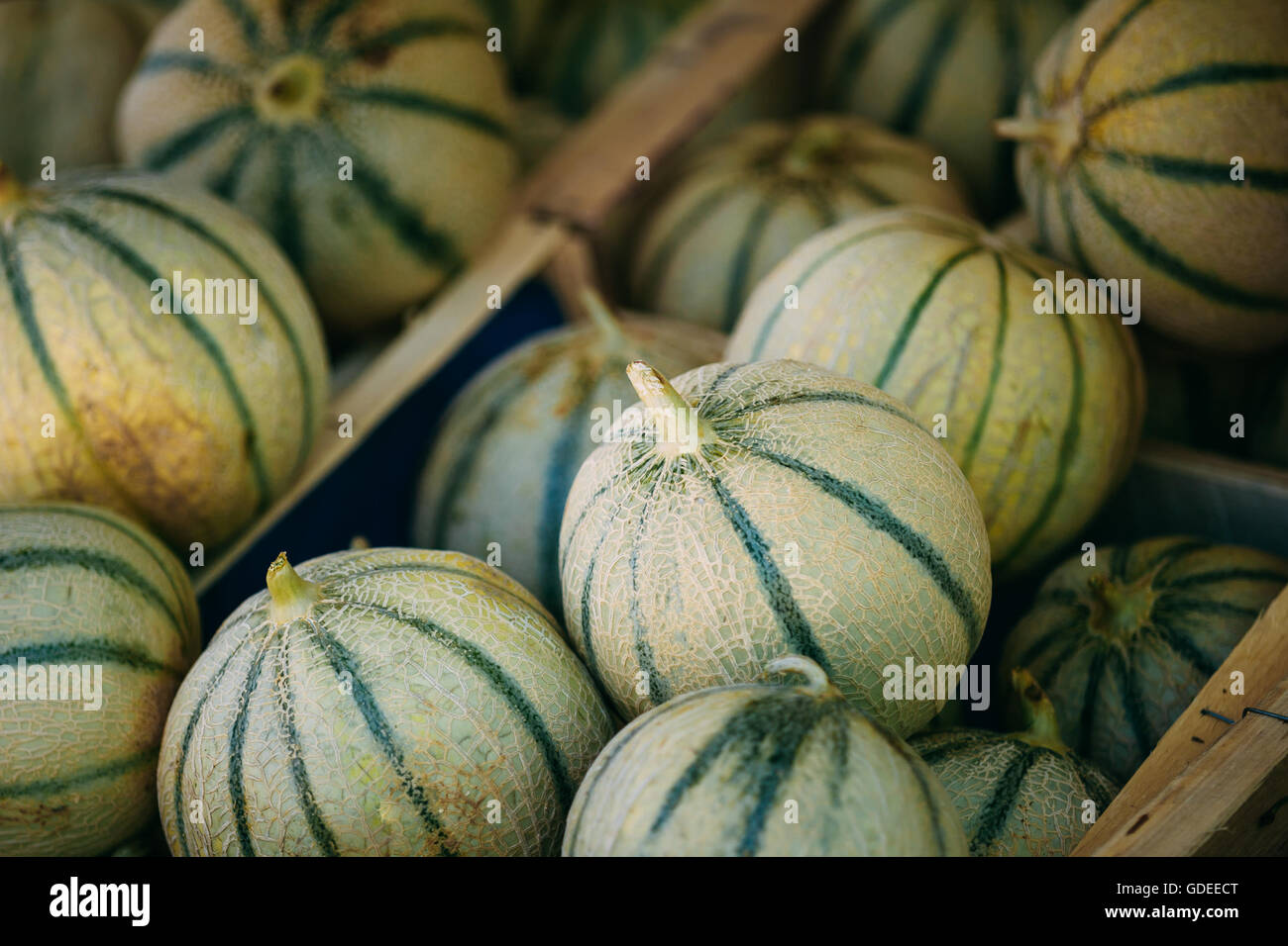 Fresh ripe melons forming background on farmers market Stock Photo - Alamy