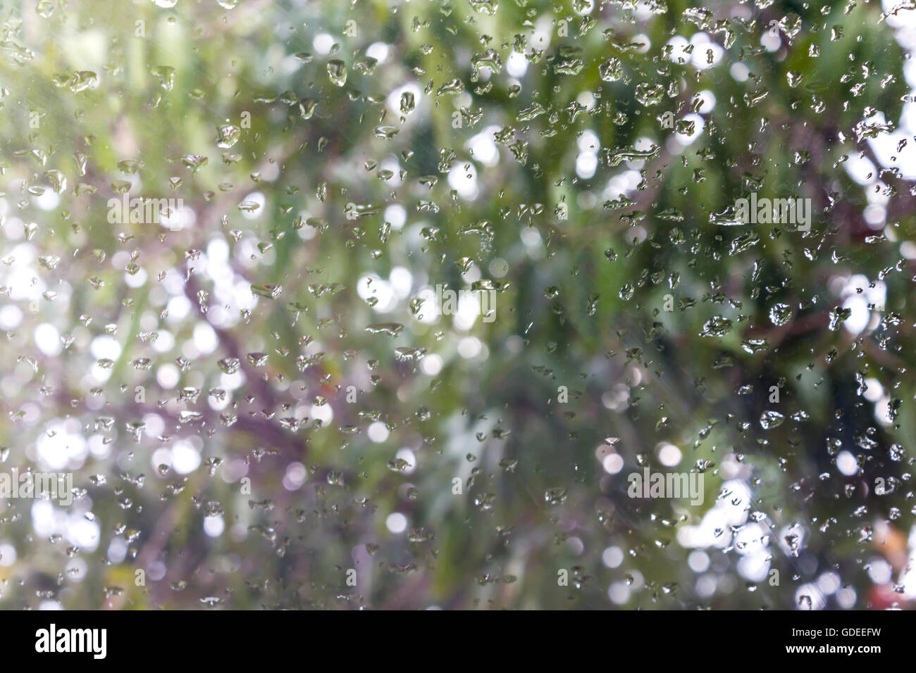 Rain drop on window glass with bokeh tree bush blurred background Stock ...