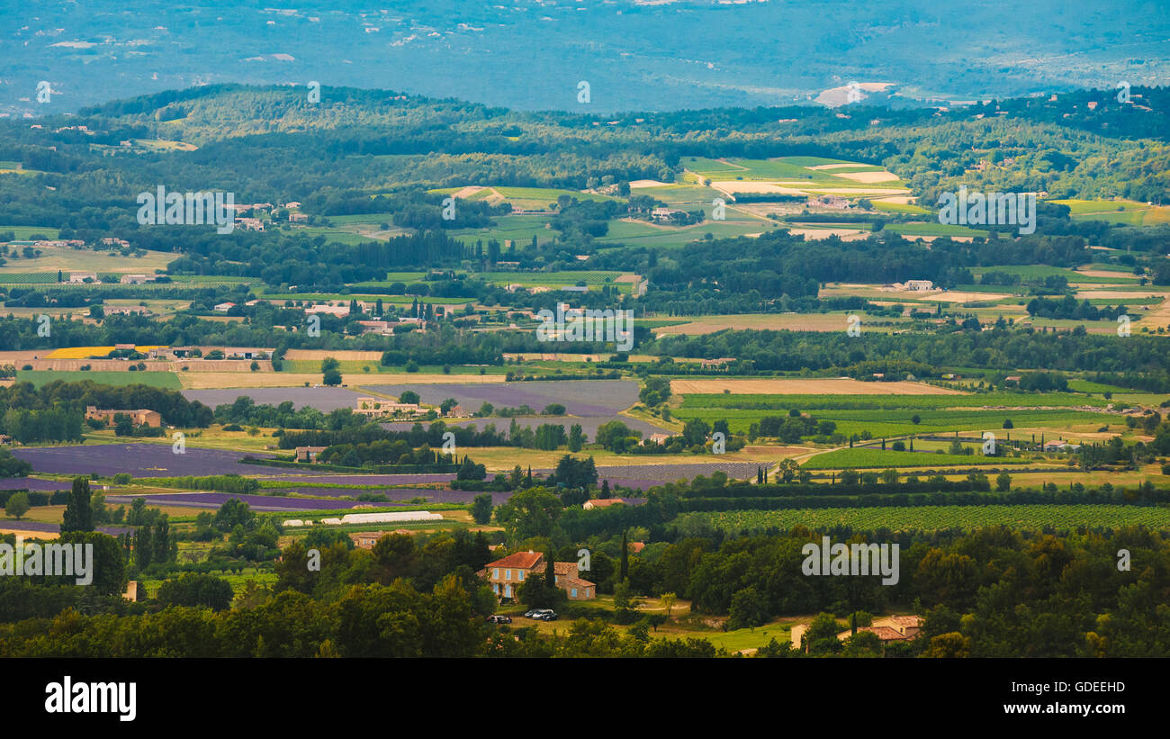 Fields and meadows in Provence, France. Beautiful rural landscape with ...