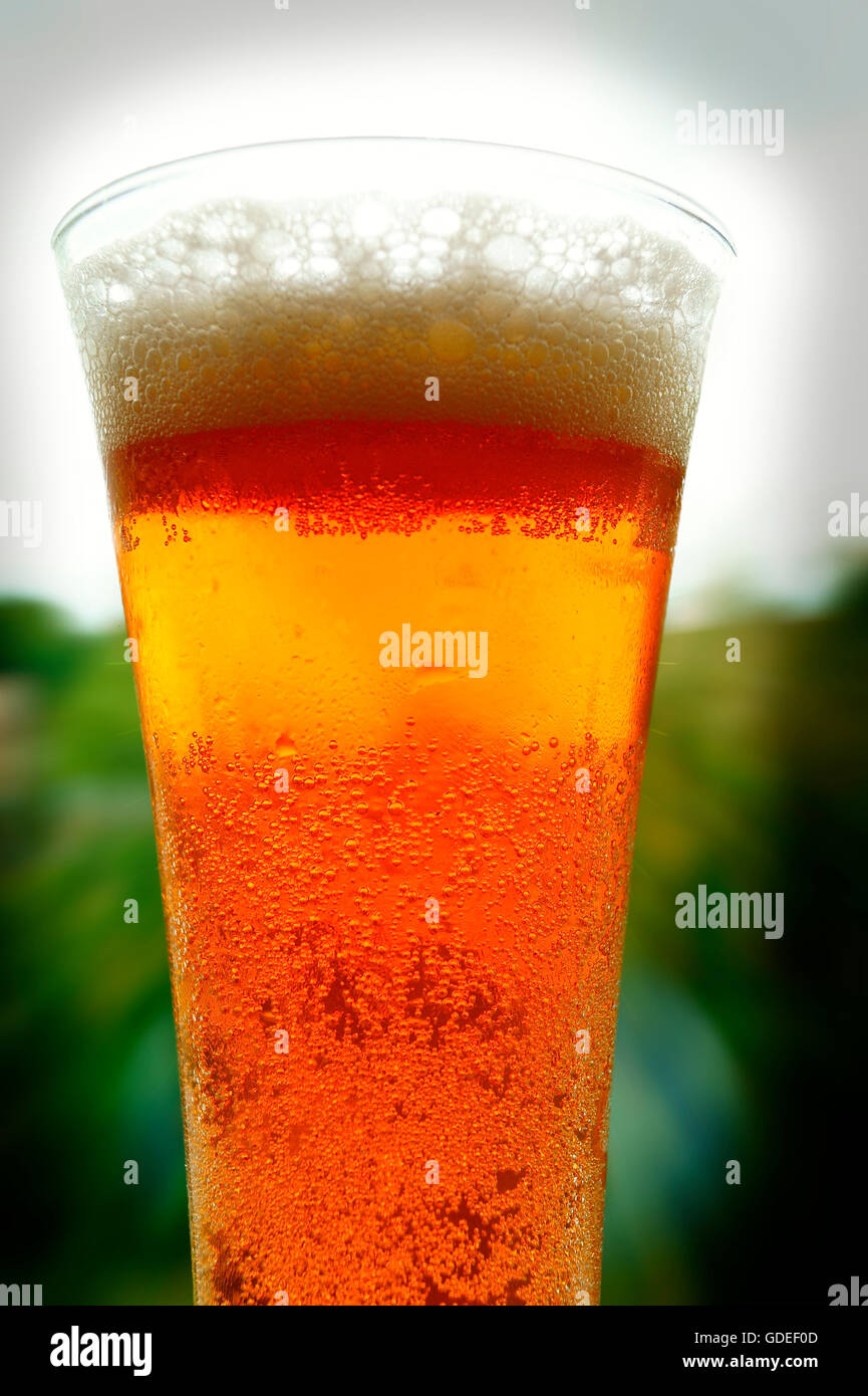 Glass beer on forest and sky background Stock Photo - Alamy