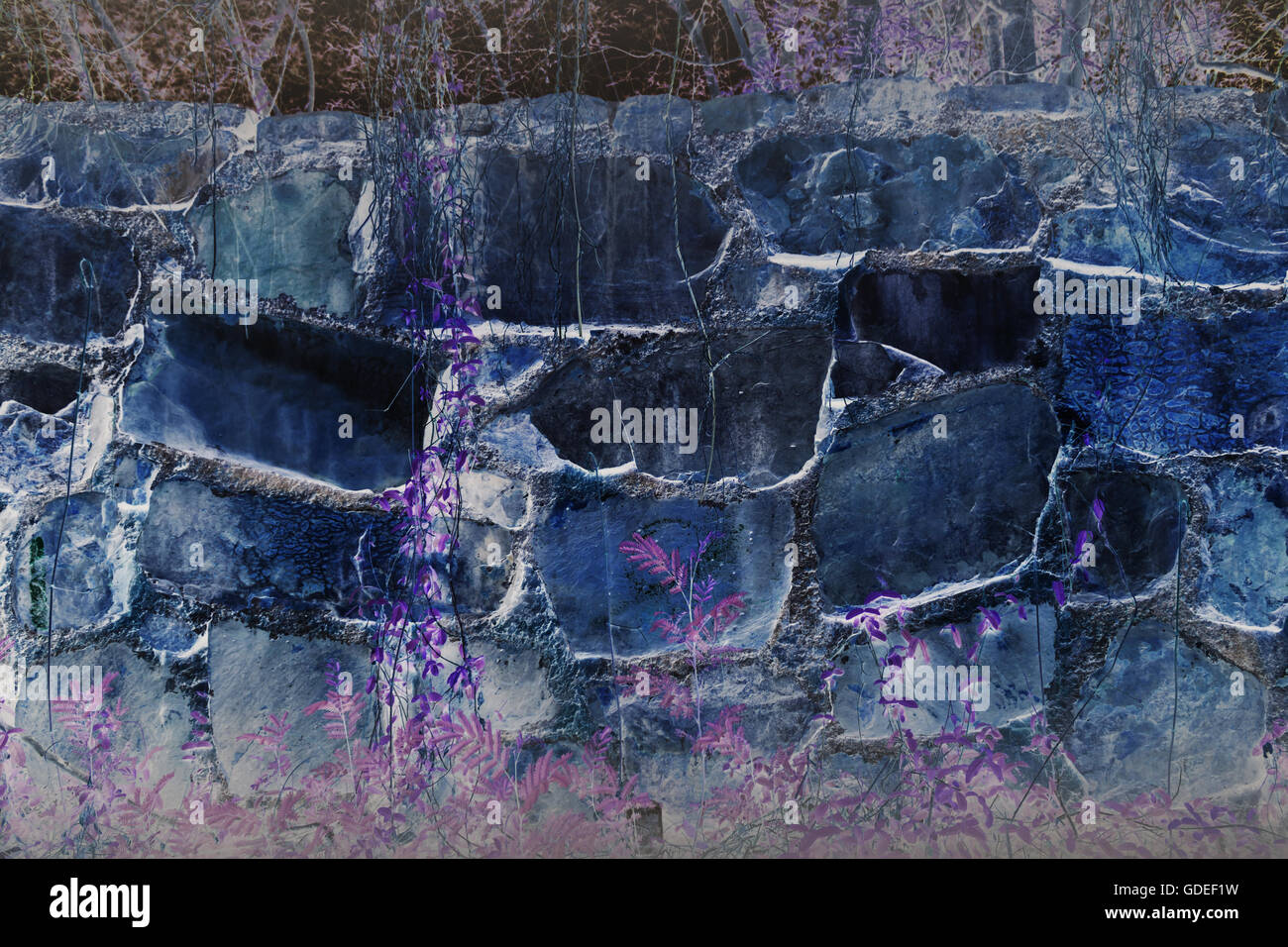 Abstract fancy big rock wall with plant violet dreamy fantasy ...