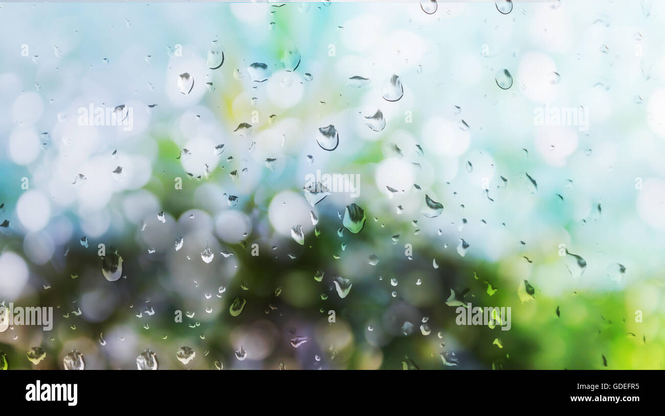 Rain drop on window glass plate with romantic soft bokeh tree bush ...