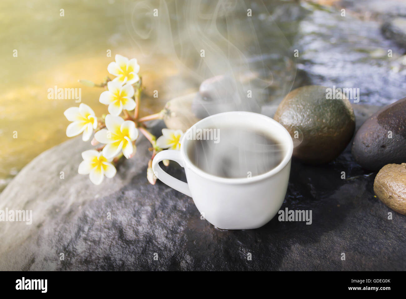 Dreamy white cup of hot black coffee on waterfall rock with flower and ...