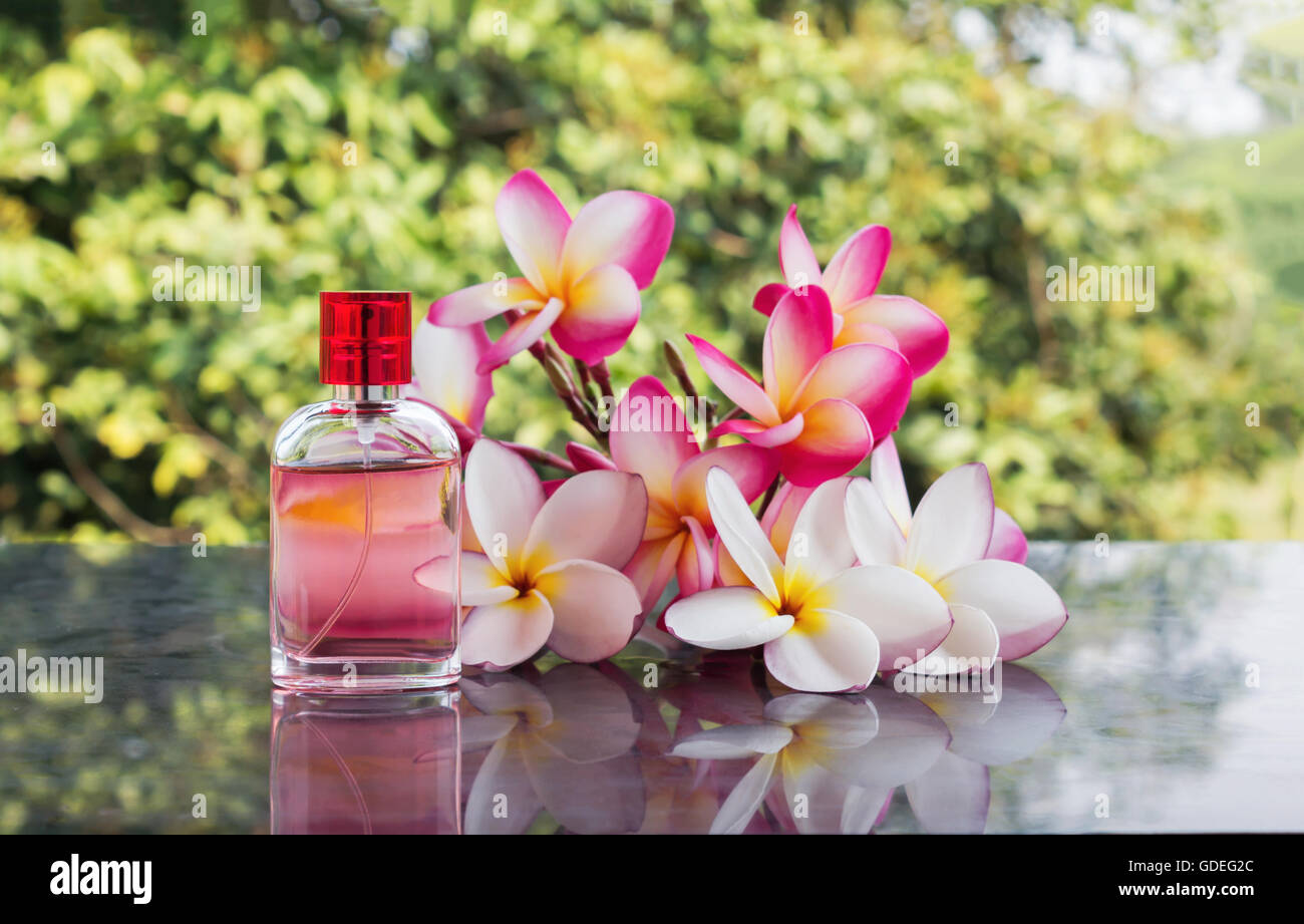 Single bottle of sweet pink fragrant perfume decorated with pink and ...