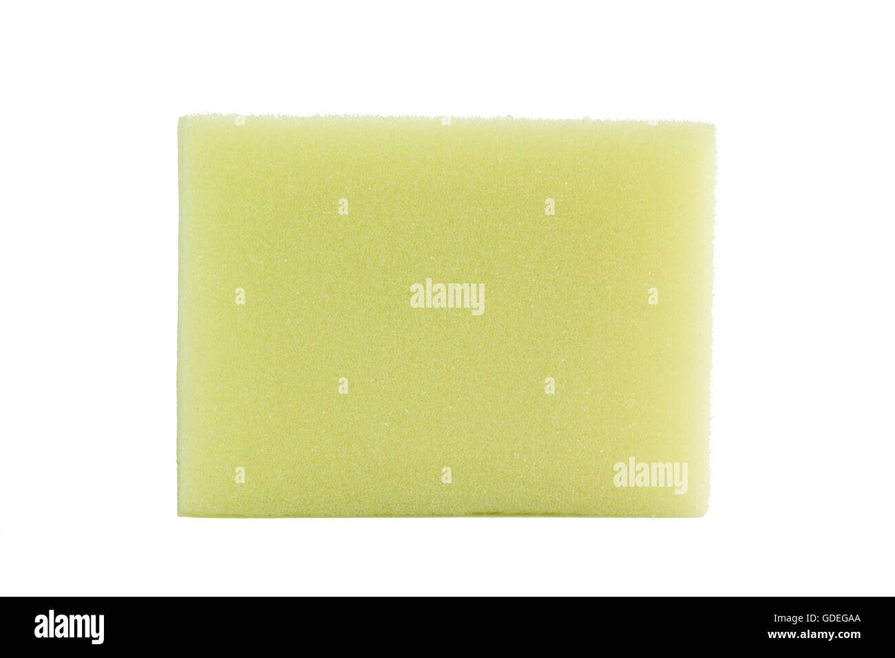 Isolated closeup scrub sponge or disk sponge on white background Stock ...