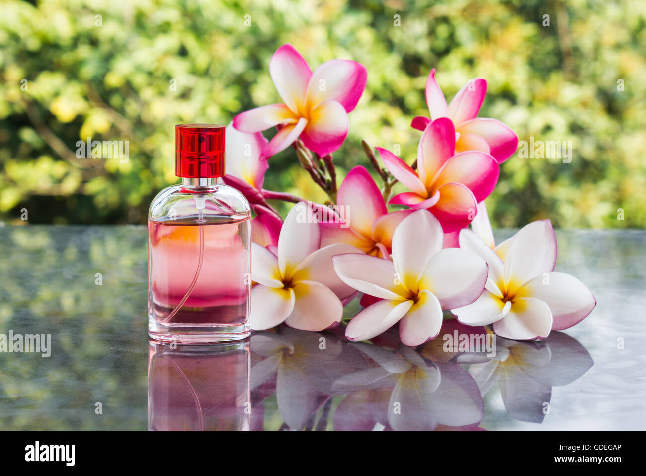Single bottle of sweet pink fragrant perfume decorated with pink flower ...