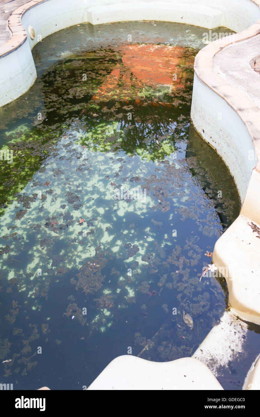 Abandoned and unclean swimming pool Stock Photo - Alamy