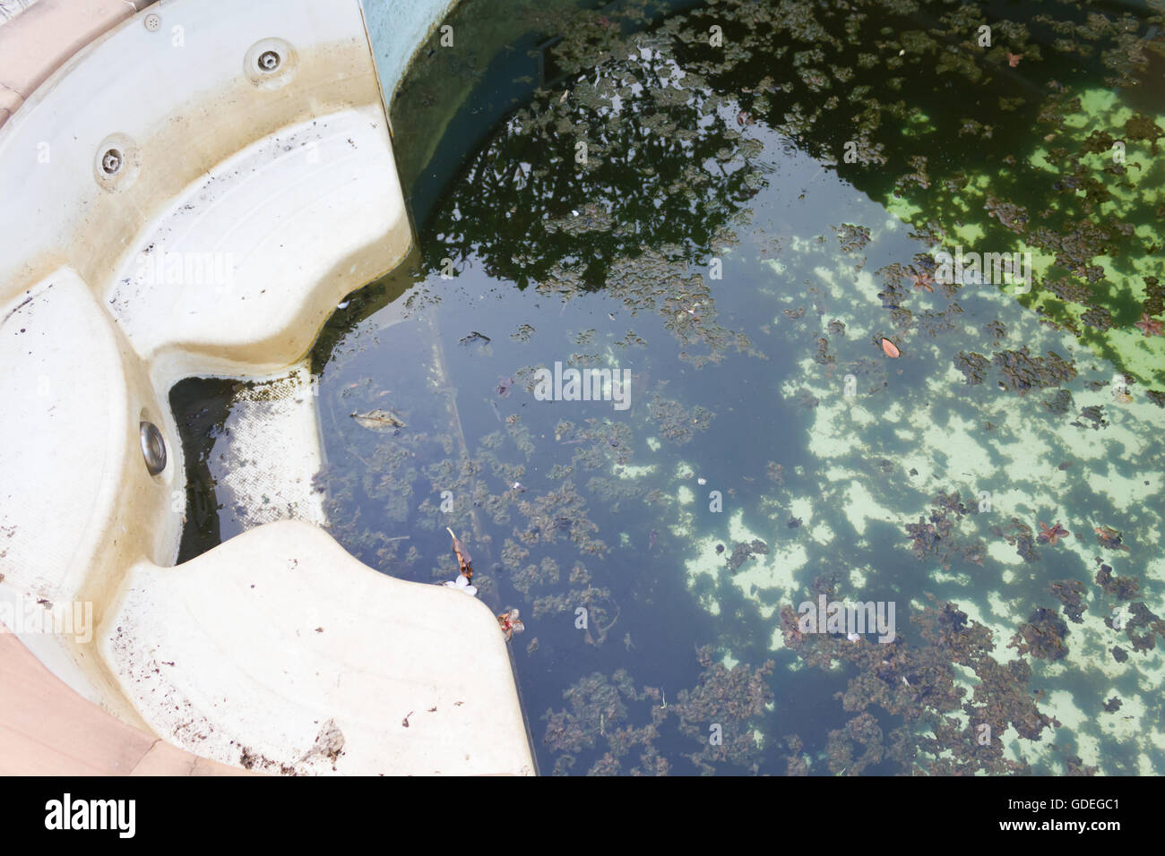 Abandoned and unclean swimming pool Stock Photo - Alamy
