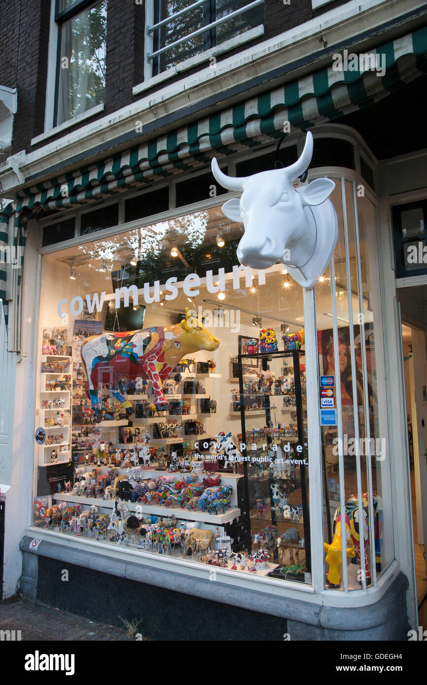 Cow Museum Shop; Jordan District; Amsterdam; Holland Stock Photo - Alamy