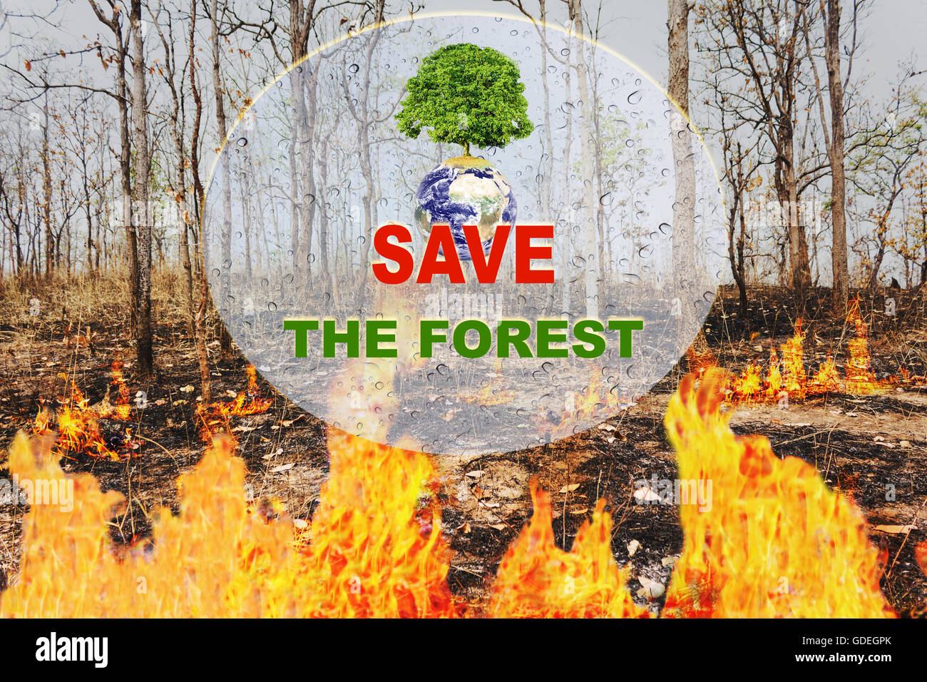 Text save the forest and tree on earth with background of burnt tree in ...