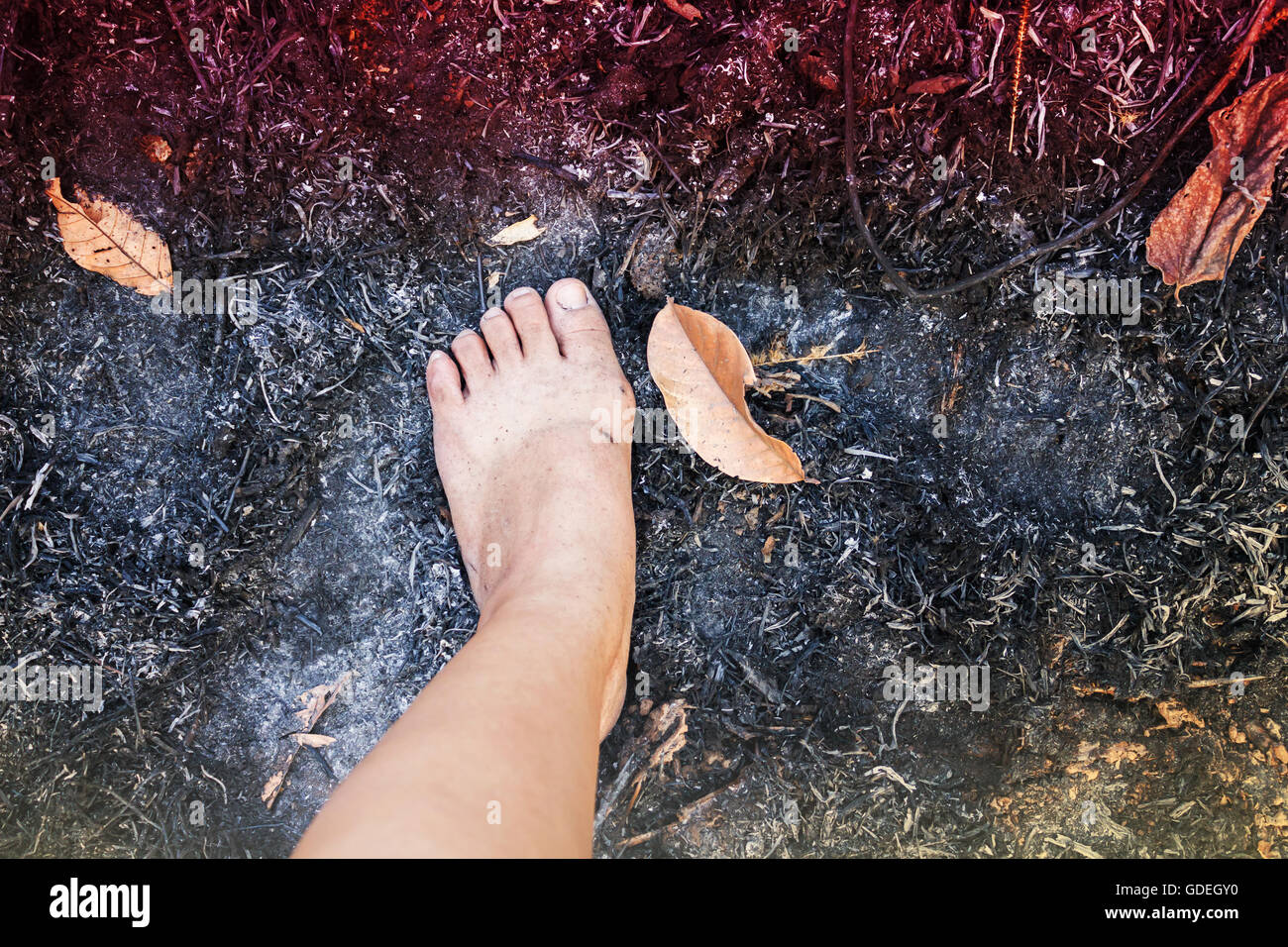 Barefoot walk on forest burnt cinders ground, concept of dangerous ...
