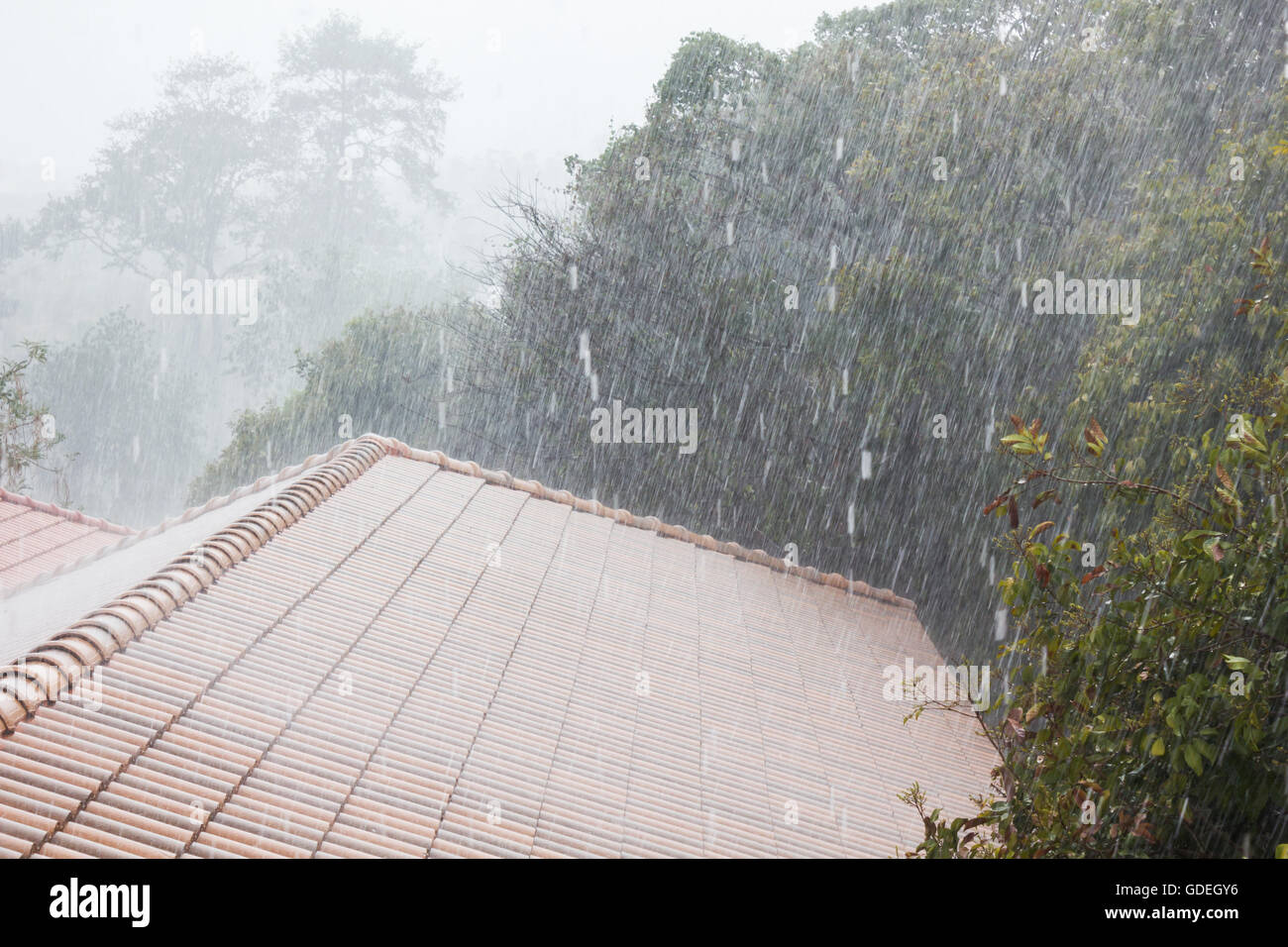 Raining hard hi-res stock photography and images - Alamy