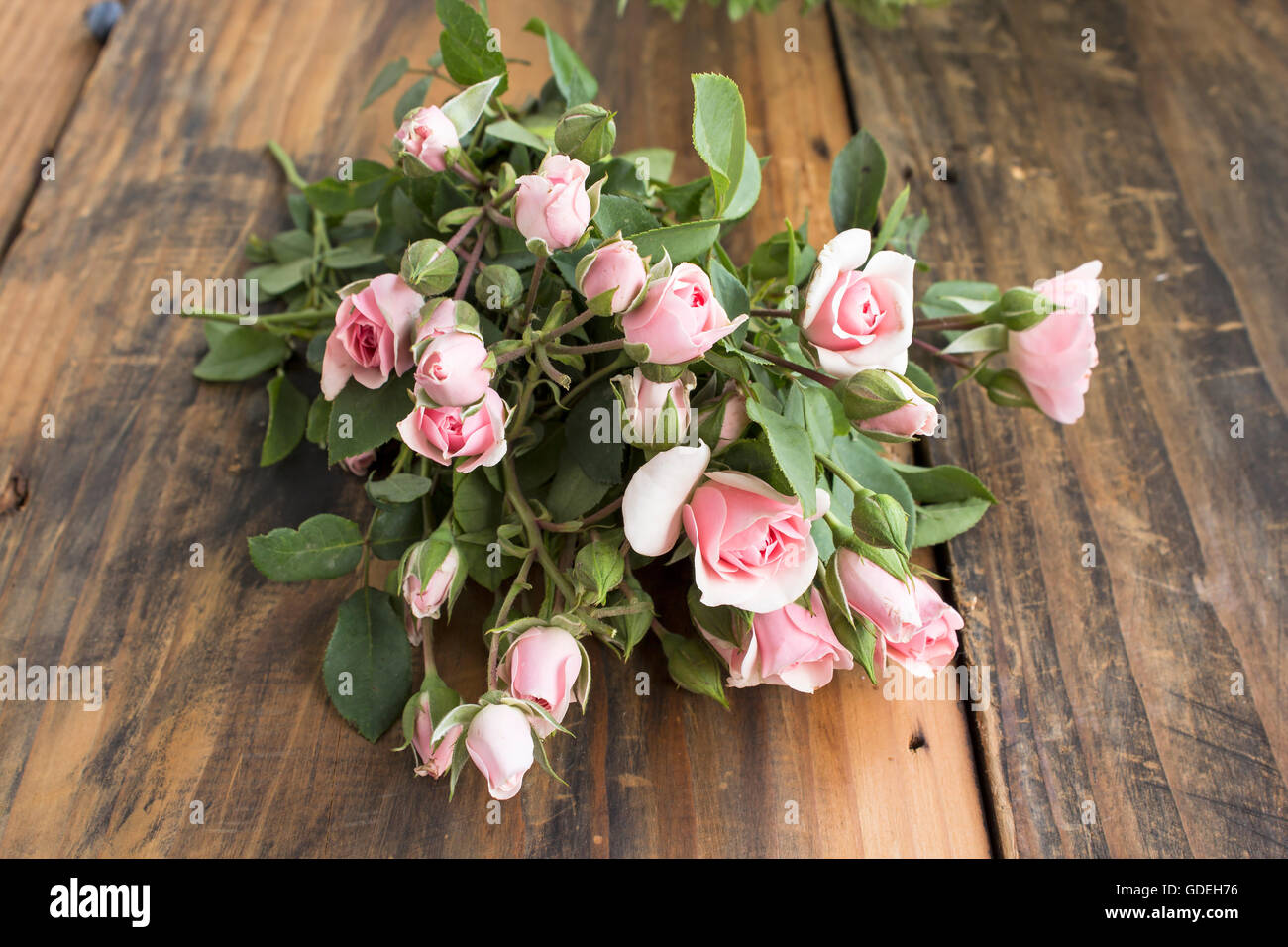 Bouquet of Pink Roses Buds on a Rustic Background of a Board Stock ...