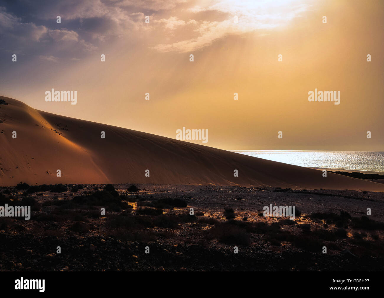 Desert landscape by the sea Stock Photo - Alamy