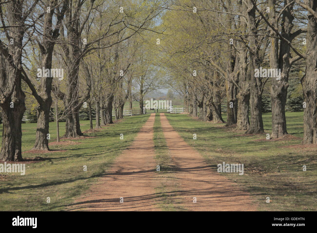 A long path Stock Photo - Alamy