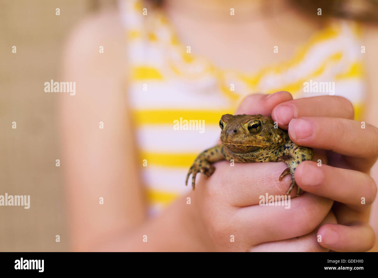 Girl holding a frog Stock Photo - Alamy