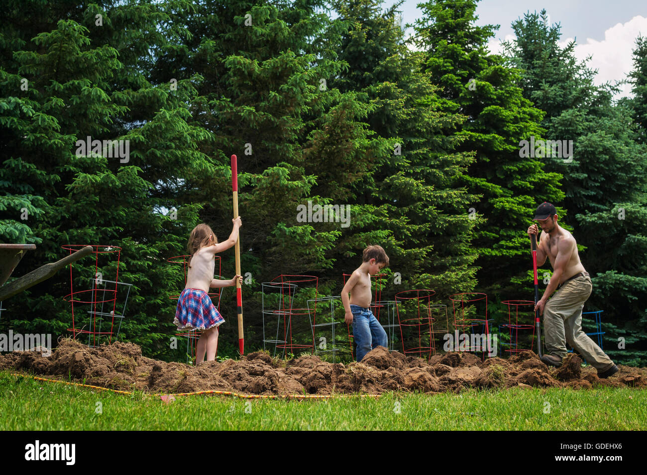 Father, son and daughter digging in garden Stock Photo - Alamy