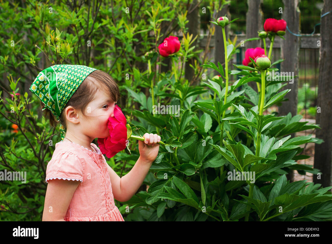 Girl smelling peony flower in garden Stock Photo - Alamy