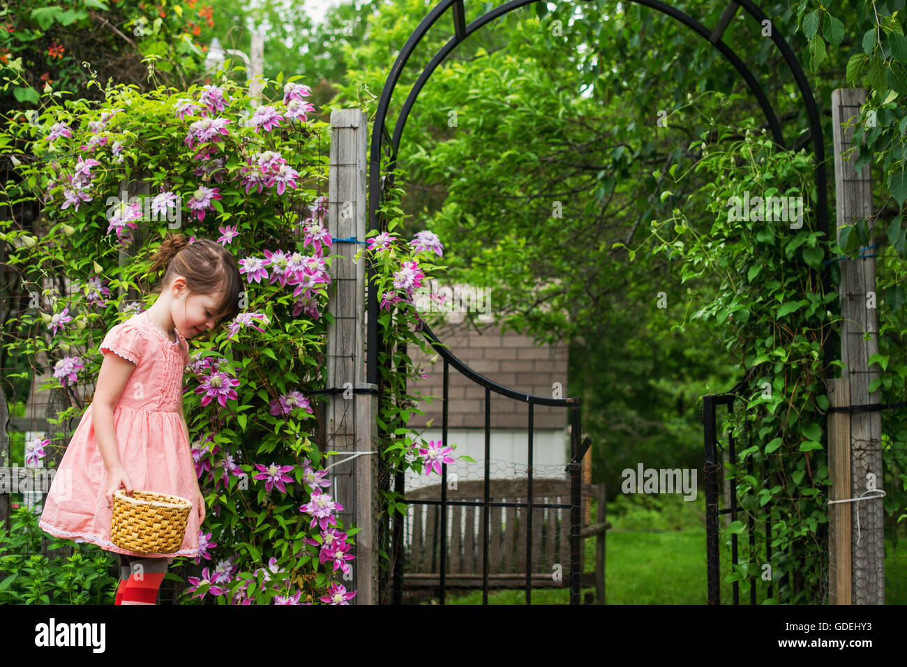 Garden side gate hi-res stock photography and images - Alamy