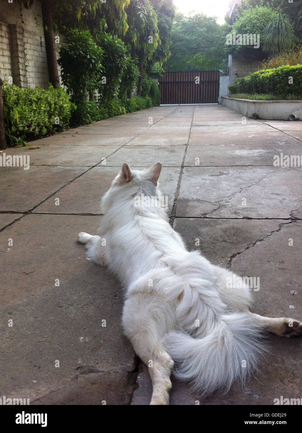 In driveway hi-res stock photography and images - Alamy