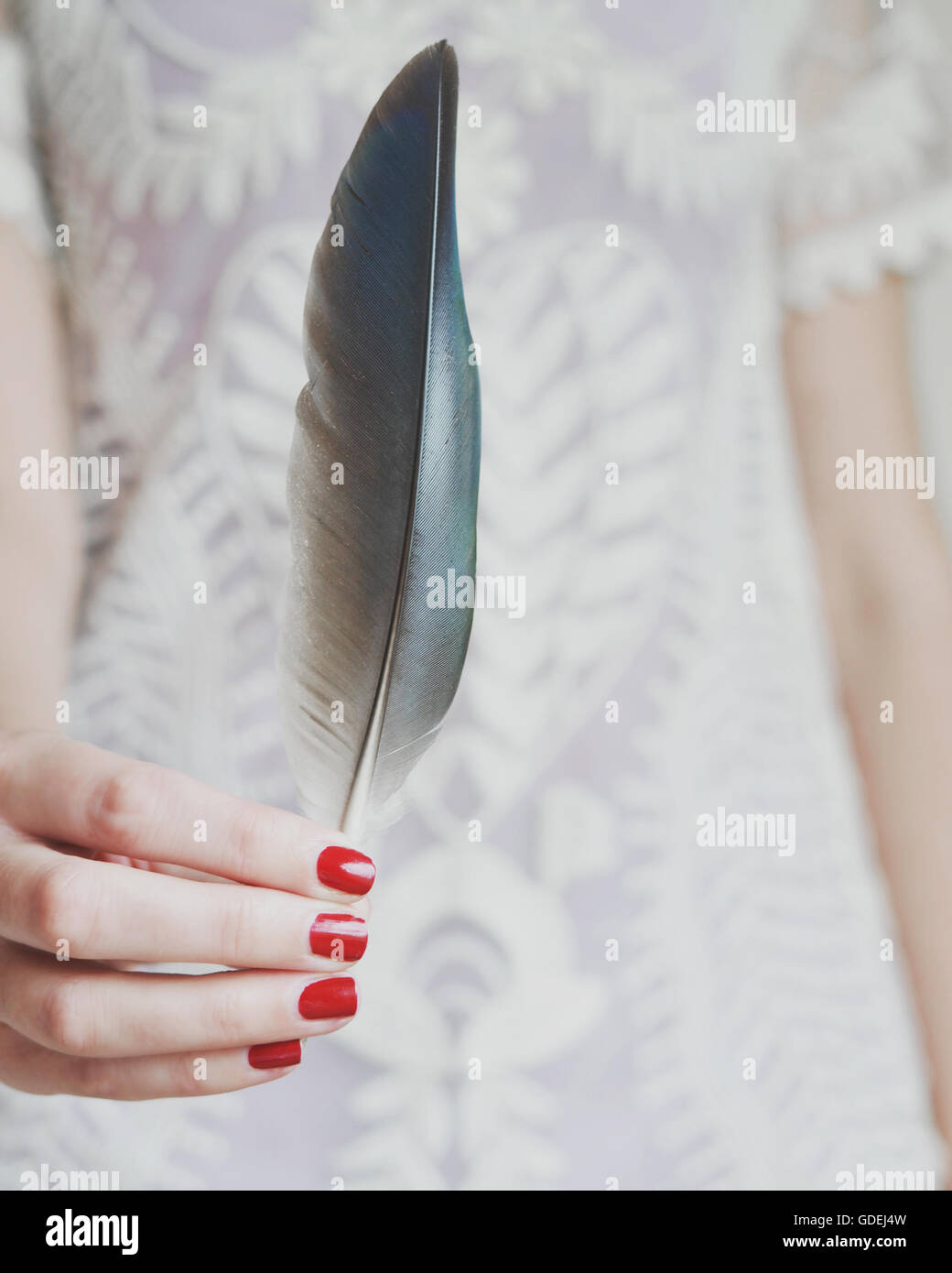 Holding A Feather High Resolution Stock Photography and Images - Alamy
