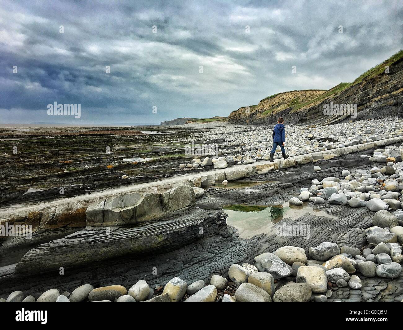Kilve fossils hi-res stock photography and images - Alamy