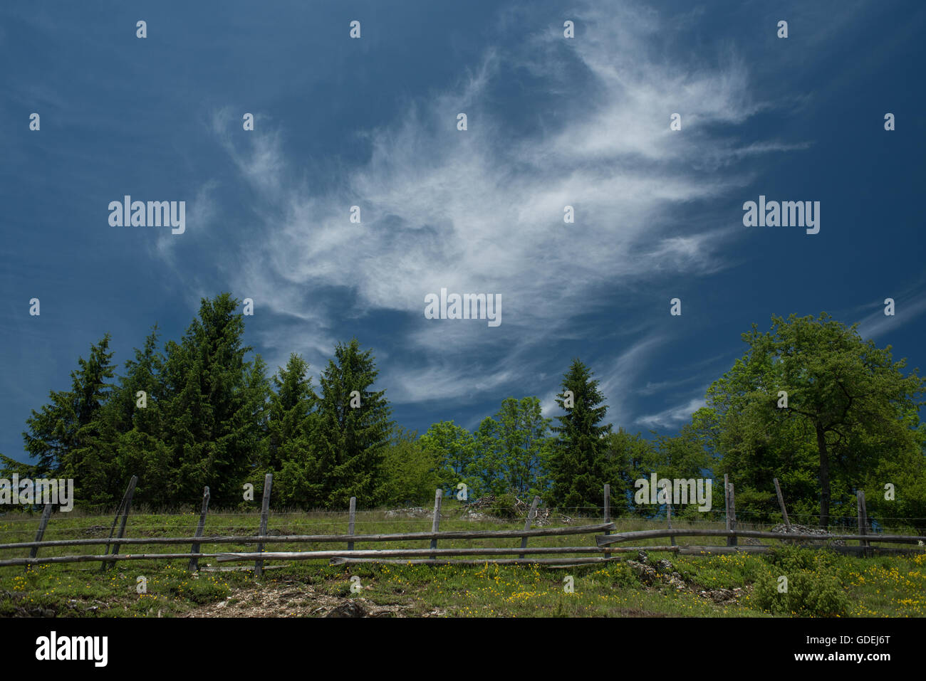 Wooden fence by forest landscape Stock Photo - Alamy
