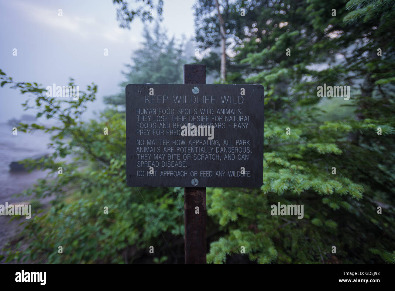 Keep Wildlife Wild Sign with blurred forest in the background Stock ...