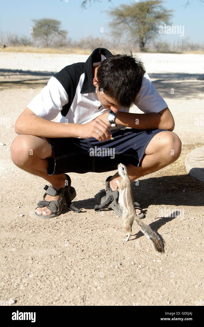 Real Ground Squirrel High Resolution Stock Photography and Images - Alamy