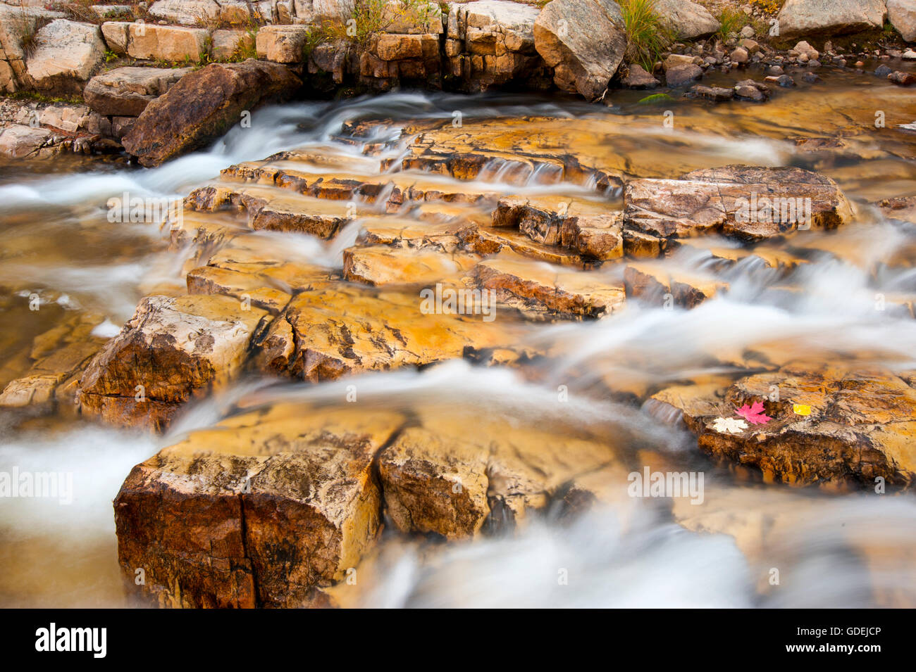 The Upper Provo River, Utah with fall colors Stock Photo - Alamy
