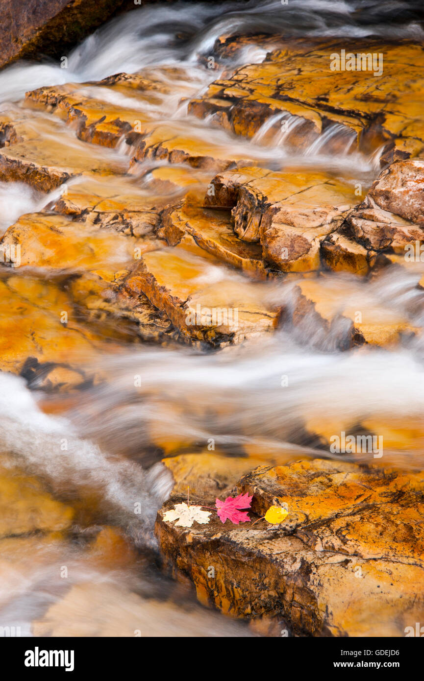 Upper provo river hi-res stock photography and images - Alamy