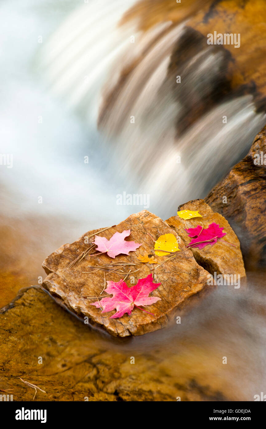 The Upper Provo River, Utah with fall colors Stock Photo - Alamy