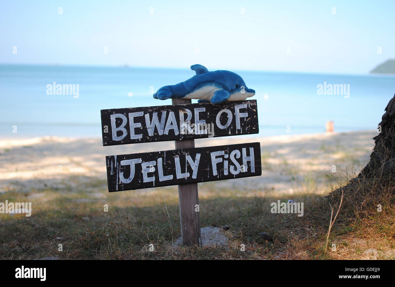 Jellyfish warning sign hi-res stock photography and images - Alamy