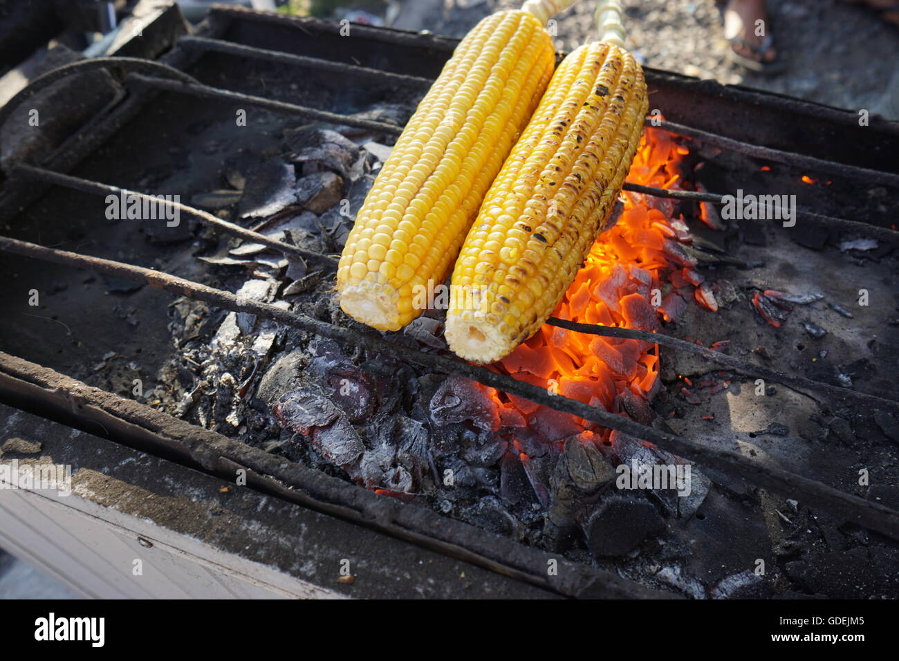 Royale Blend Roasted Corn