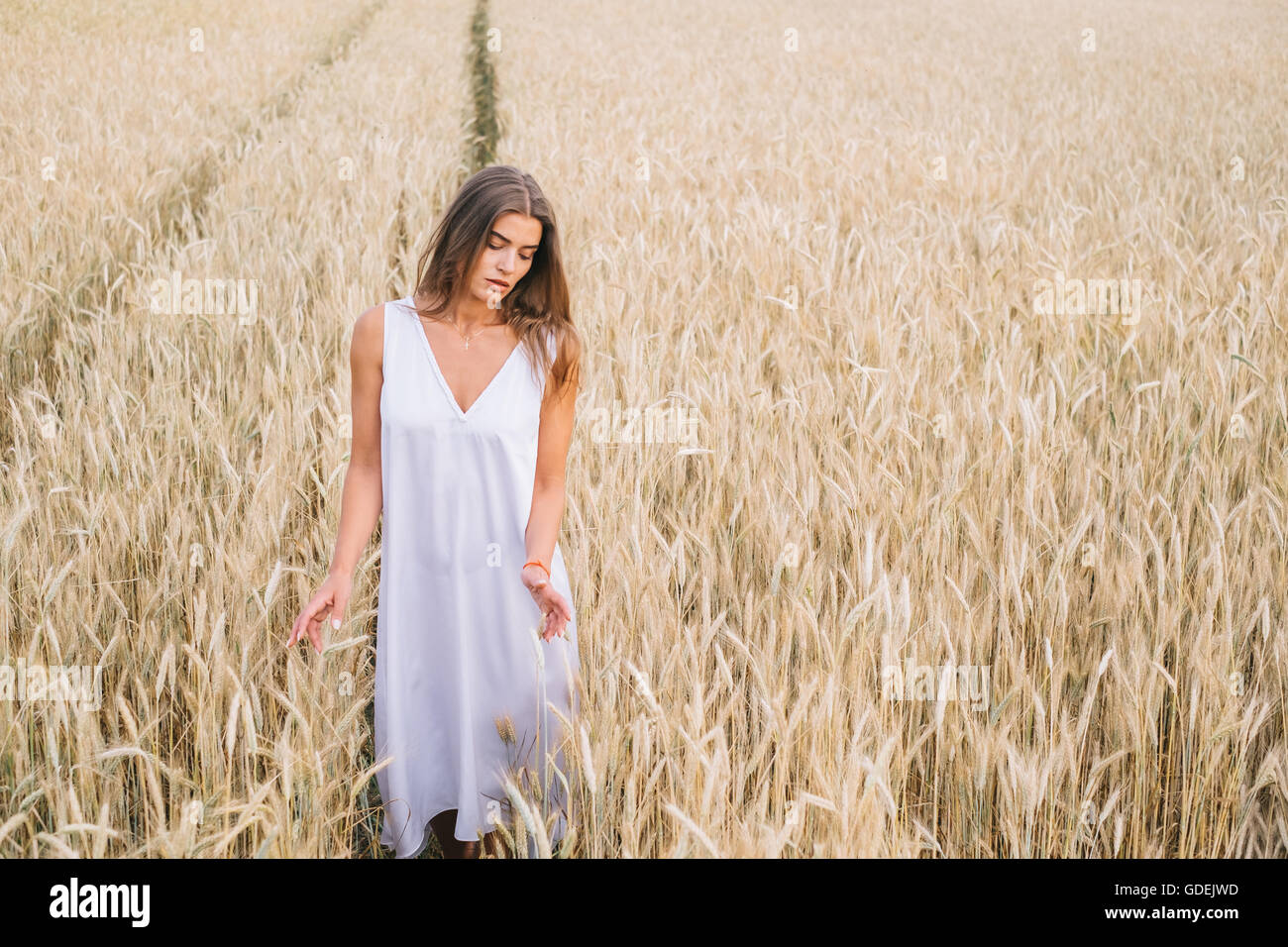 Woman walking through barley field hi-res stock photography and images ...